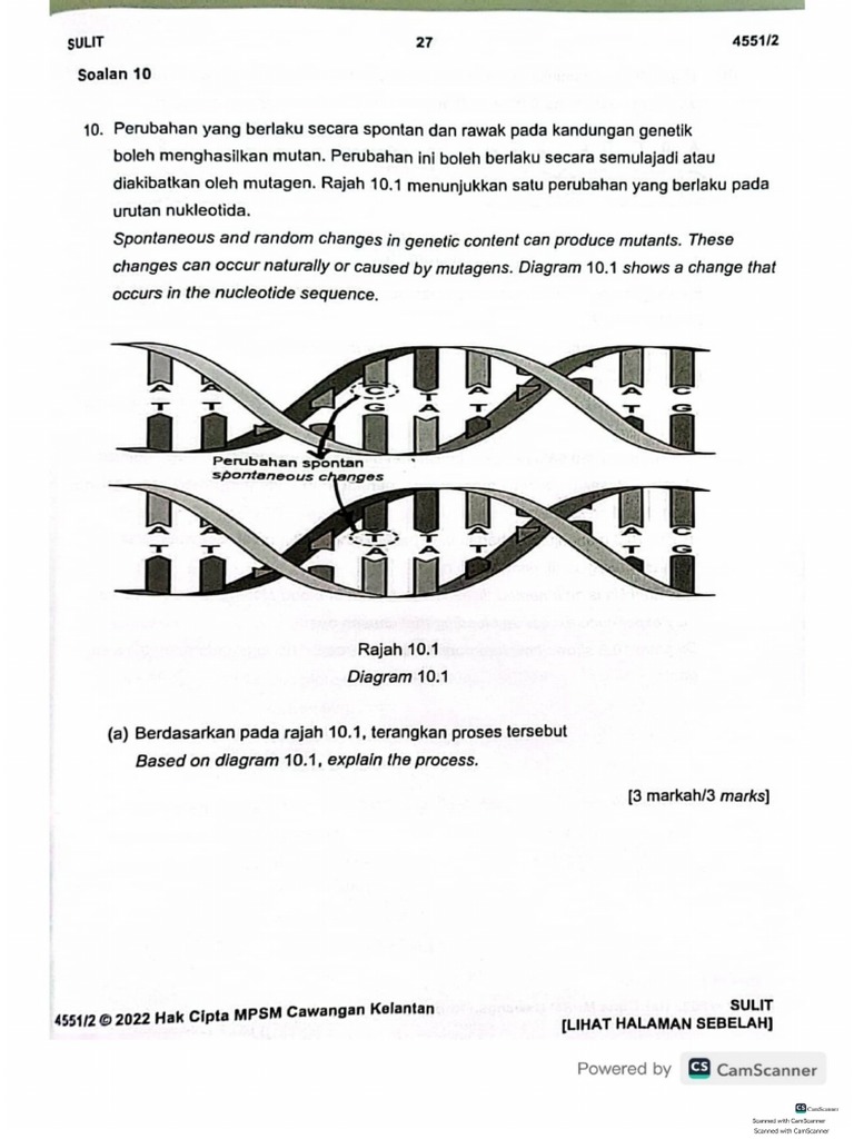 Bab 12 T5 Trial Biologi 2022 | PDF