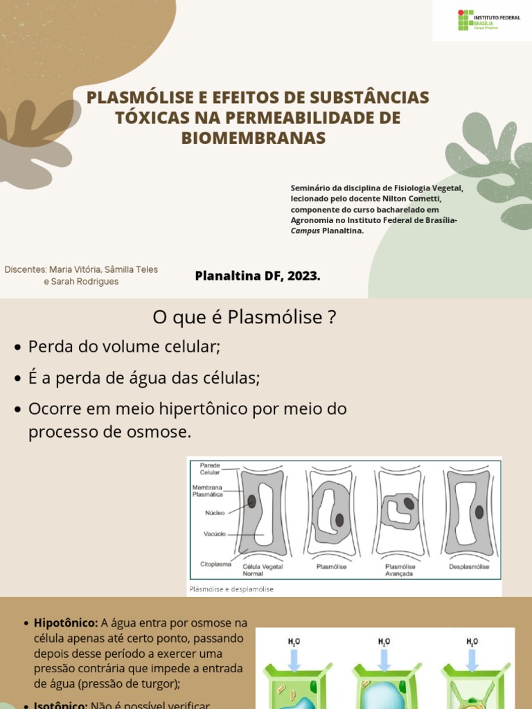 Plasmólise e Efeitos de Substâncias Tóxicas Na Permeabilidade de ...