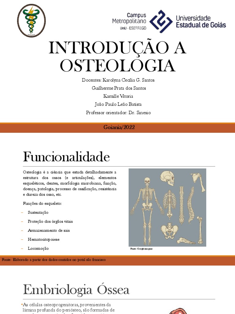 Introdução à Osteologia Humana | PDF | Osso | Esqueleto