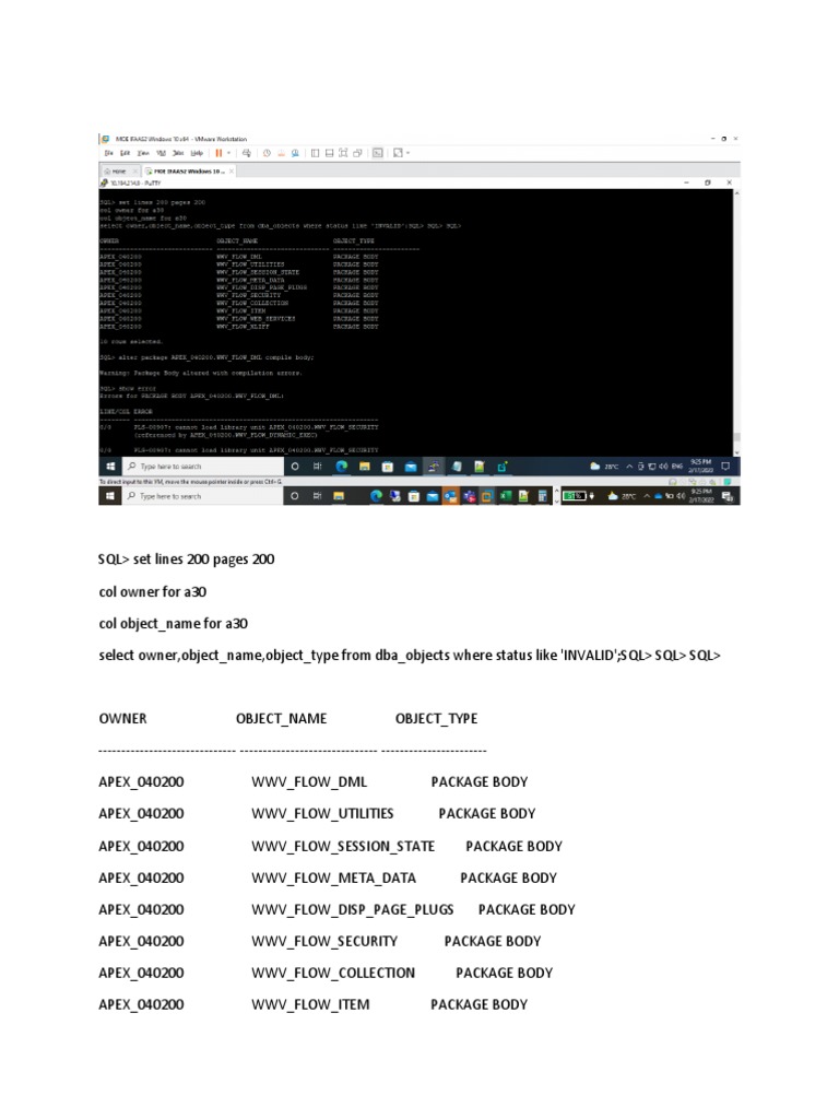 Apex Invalids | PDF | Pl/Sql | Software