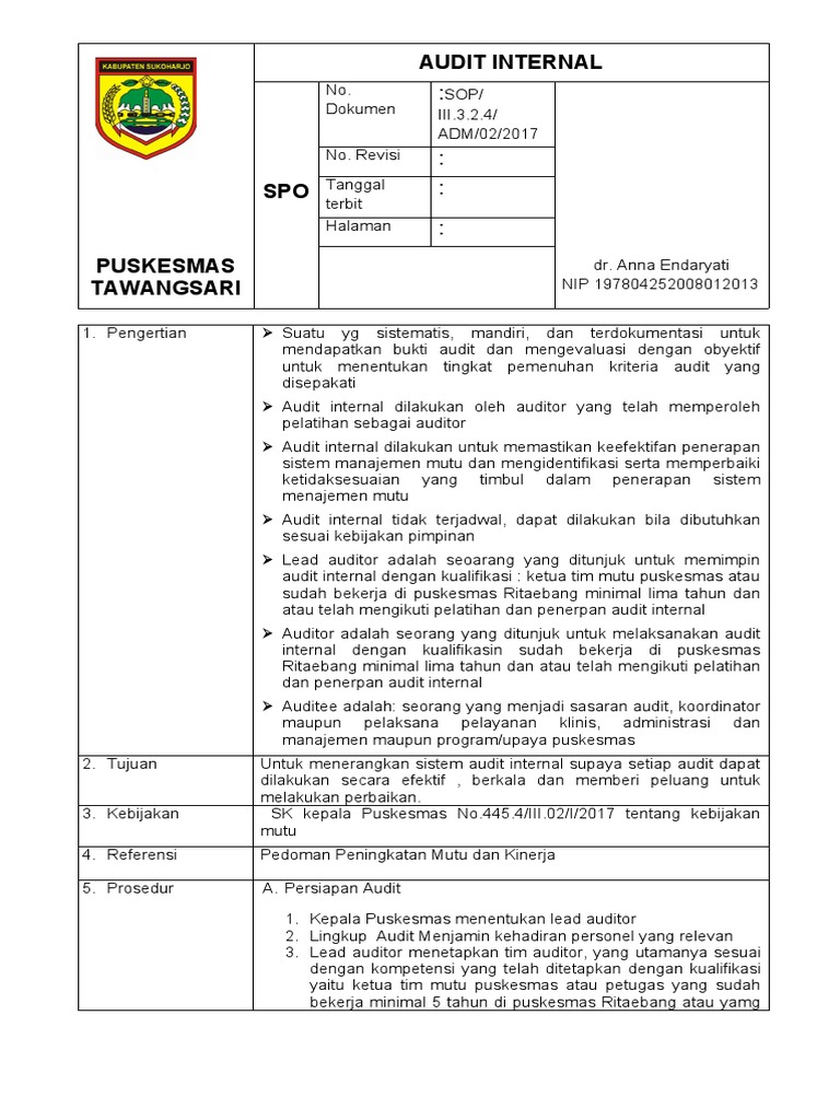 Spo Audit Internal | PDF