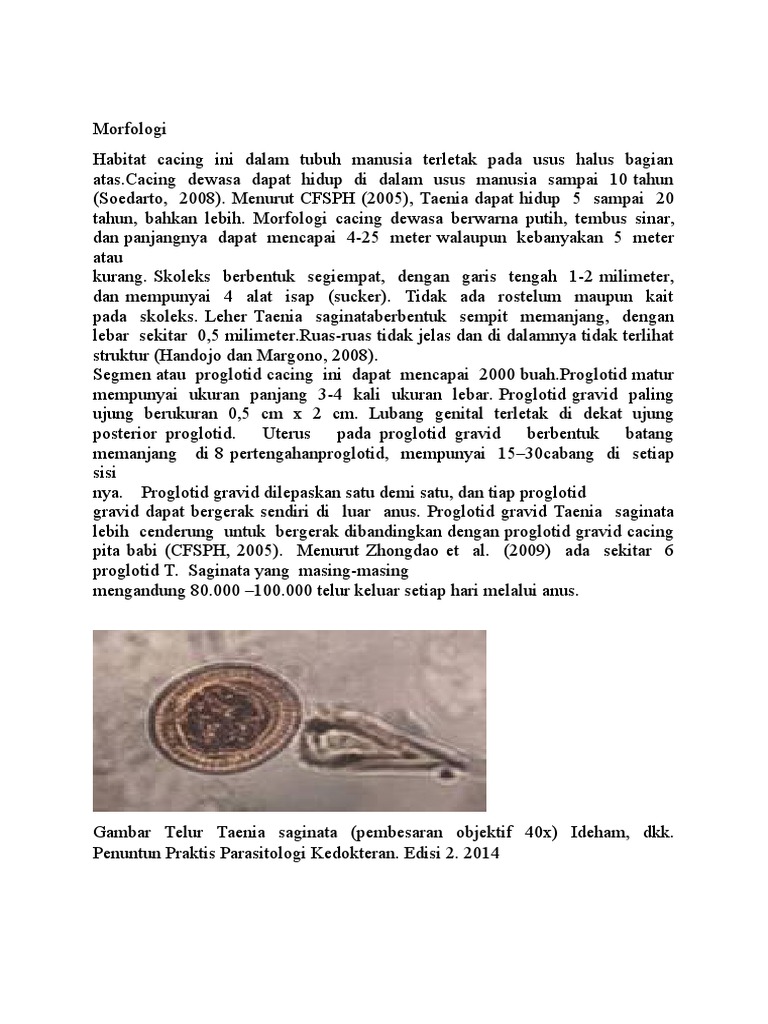 Morfologi dan Patogenesis Taenia Saginata | PDF