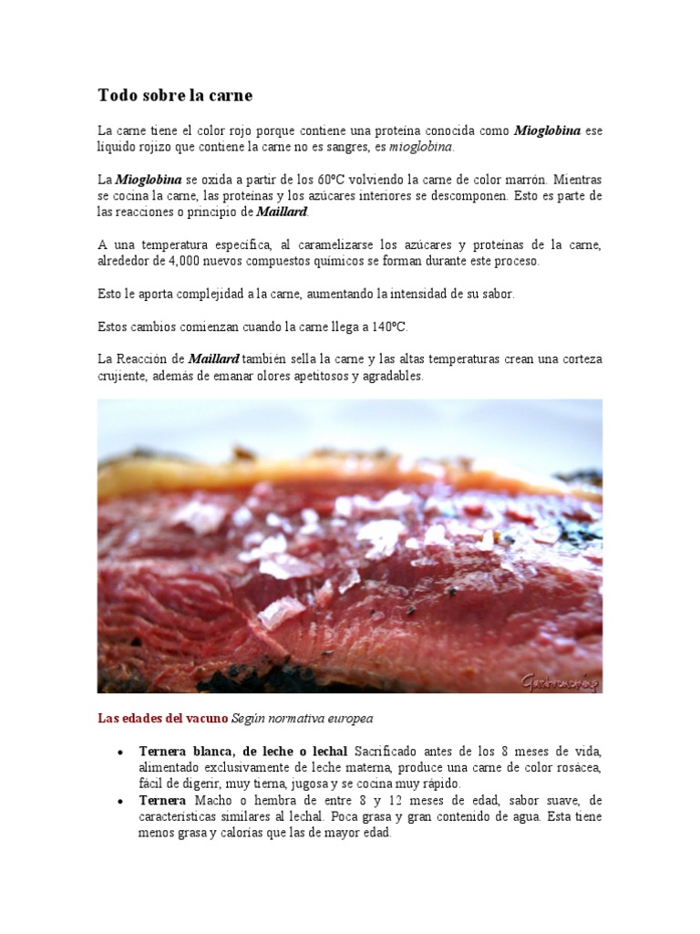 Todo Sobre La Carne | PDF | Carne | Músculo esquelético