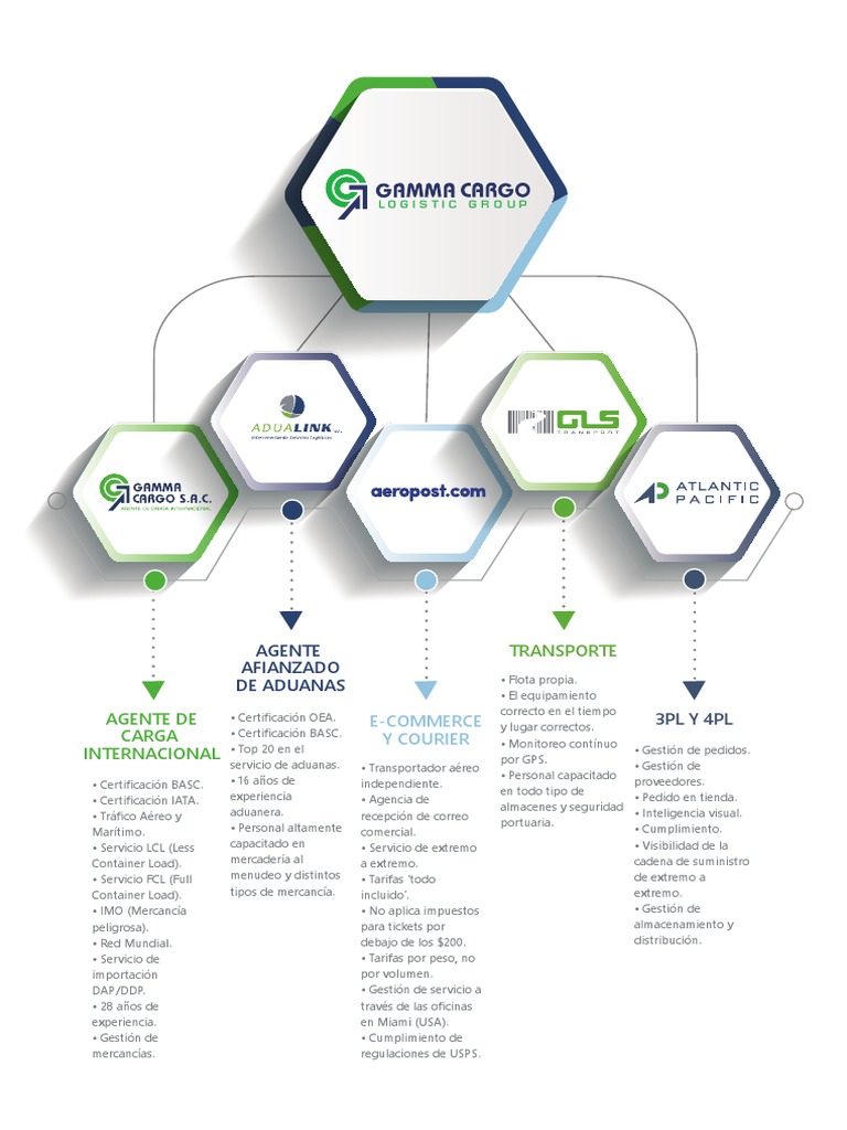 Gamma Cargo - Resumen Corporativo | PDF | aduana | Economias