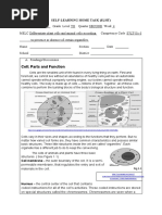 Cytoplasm Mitochondrion Nucleolus Nucleus Organ Tissue Vacuole Cell ...