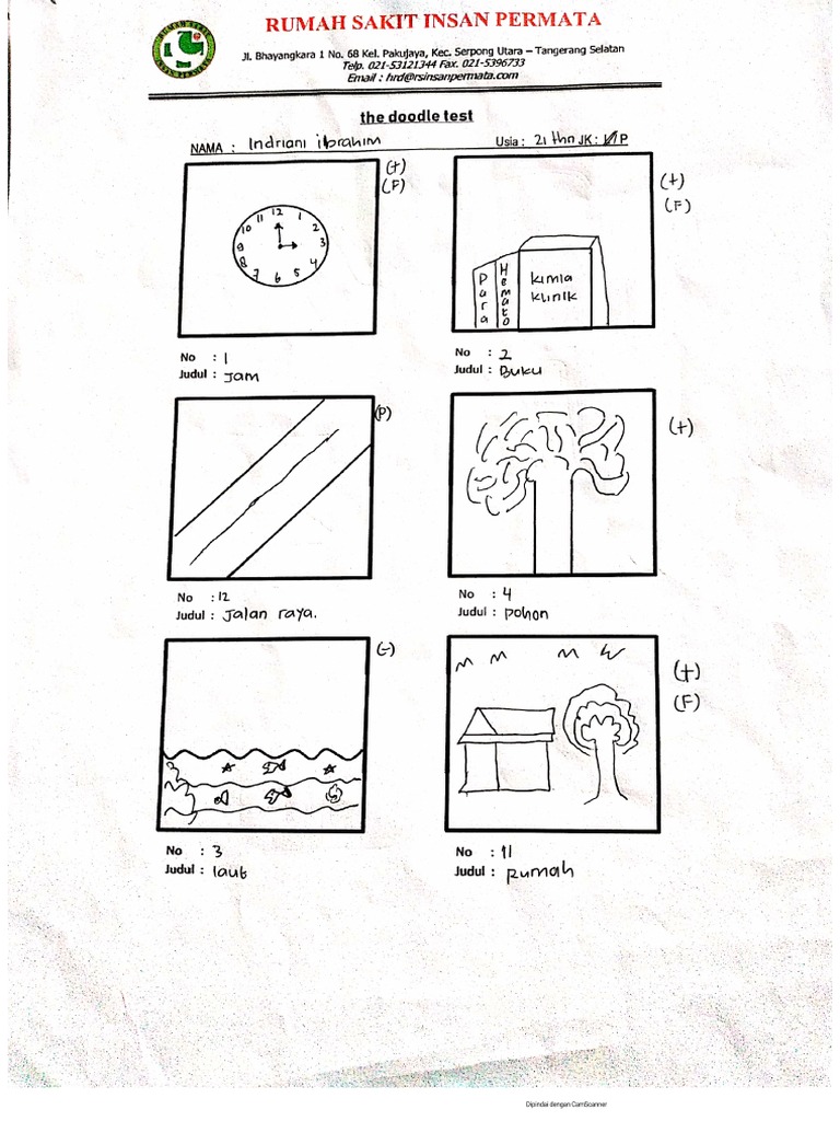 The Doodle Test - Indriani Ibrahim | PDF