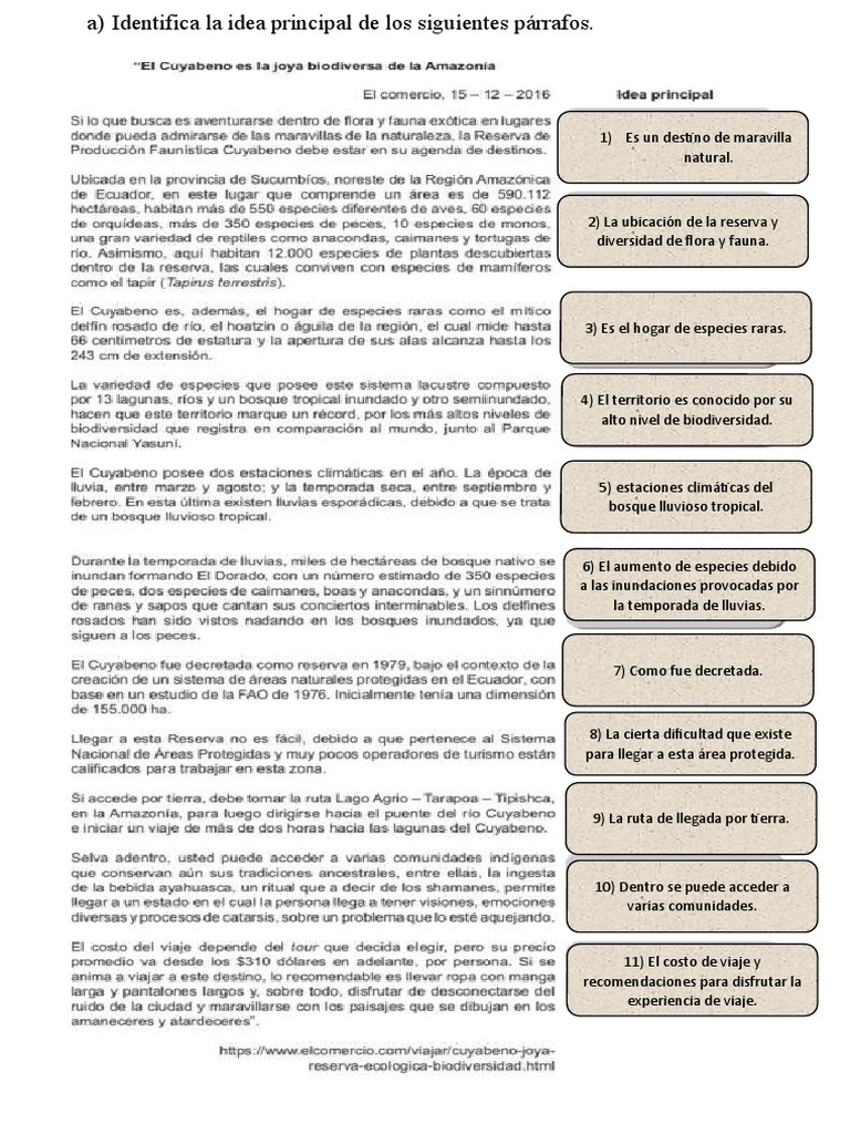 Identifica La Idea Principal de Los Siguientes Párrafos | PDF | Nieve ...