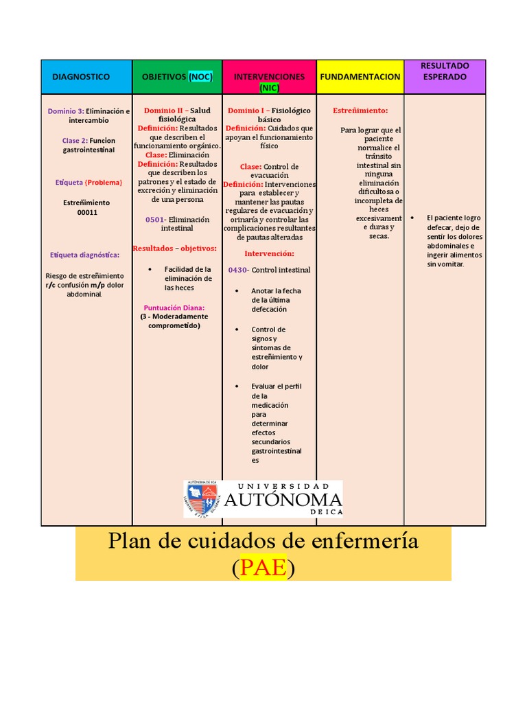 PAE Sobre La Apendicitis | PDF | Estreñimiento | Gastroenterología