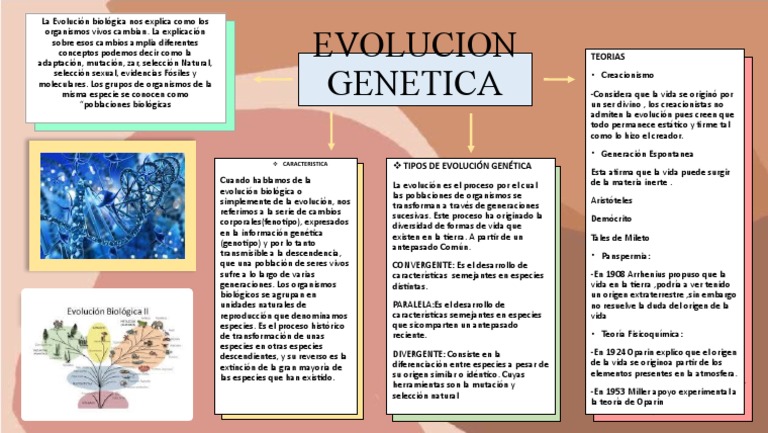 Evolucion Genetica | PDF | Evolución | Vida