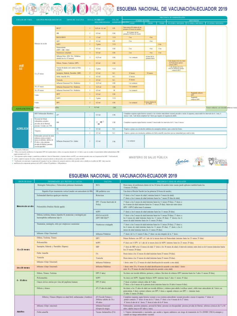 Esquema-De-Vacunación - Dic .2019.ok | PDF | Ciencias de la vida | Cuidado de la salud