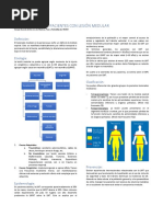 PALESTESIA Definicion y Exploración | PDF | Mano | Sistema ...