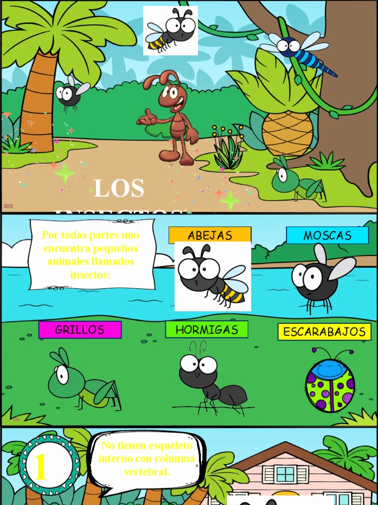 Copia de INSECTOS | PDF