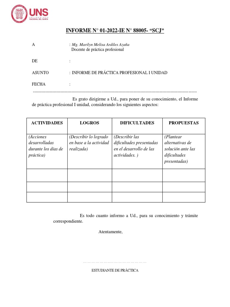 Informe de Práctica Profesional | PDF | Informática