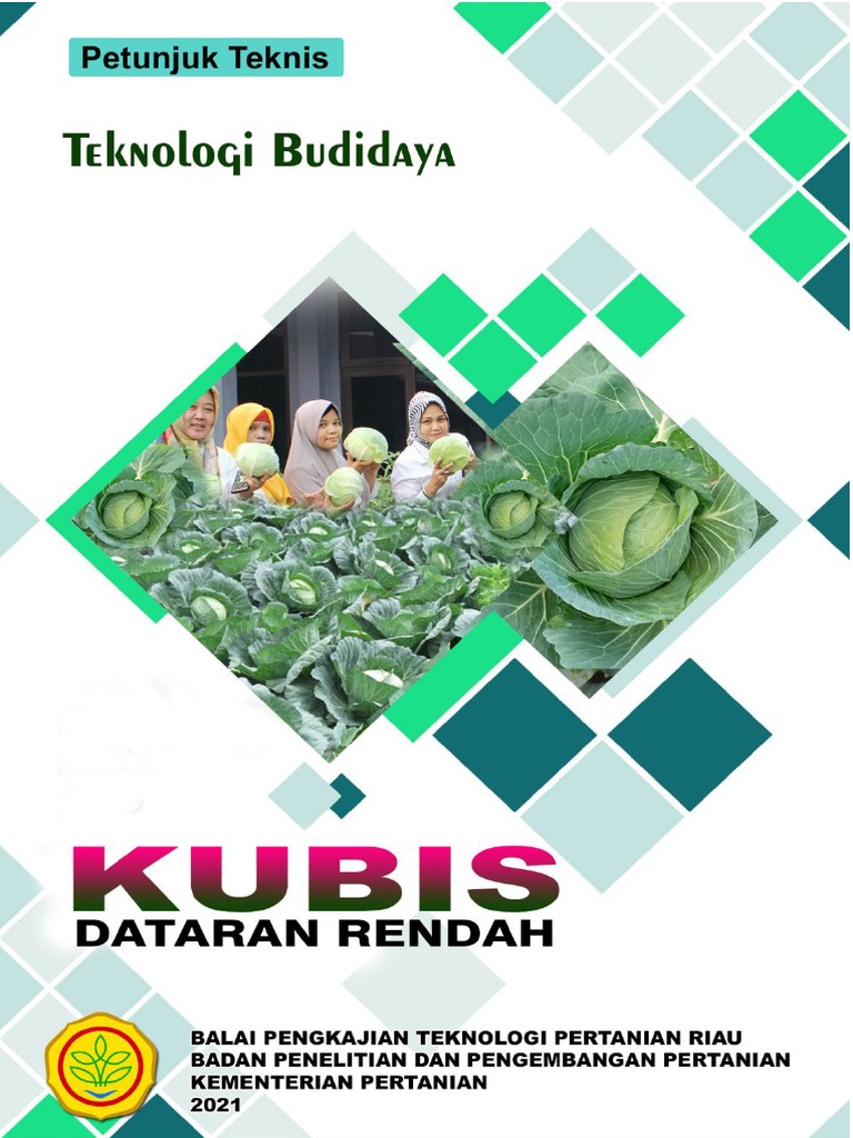 Panduan Budidaya Kubis Dataran Rendah | PDF