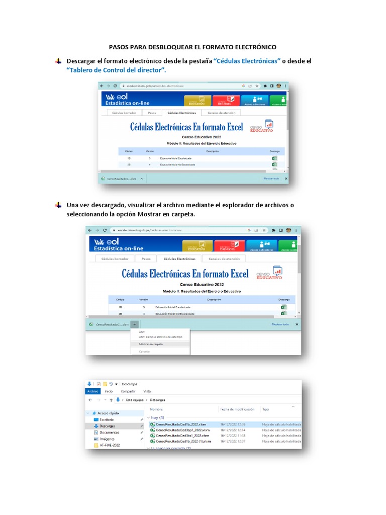 Pasos para Desbloquear El Formato Electrónico - 2022 | PDF