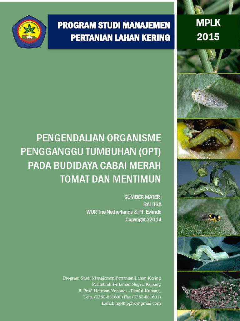 Pengendalian OPT Pada Cabe Dan Tomat | PDF | Sains & Matematika