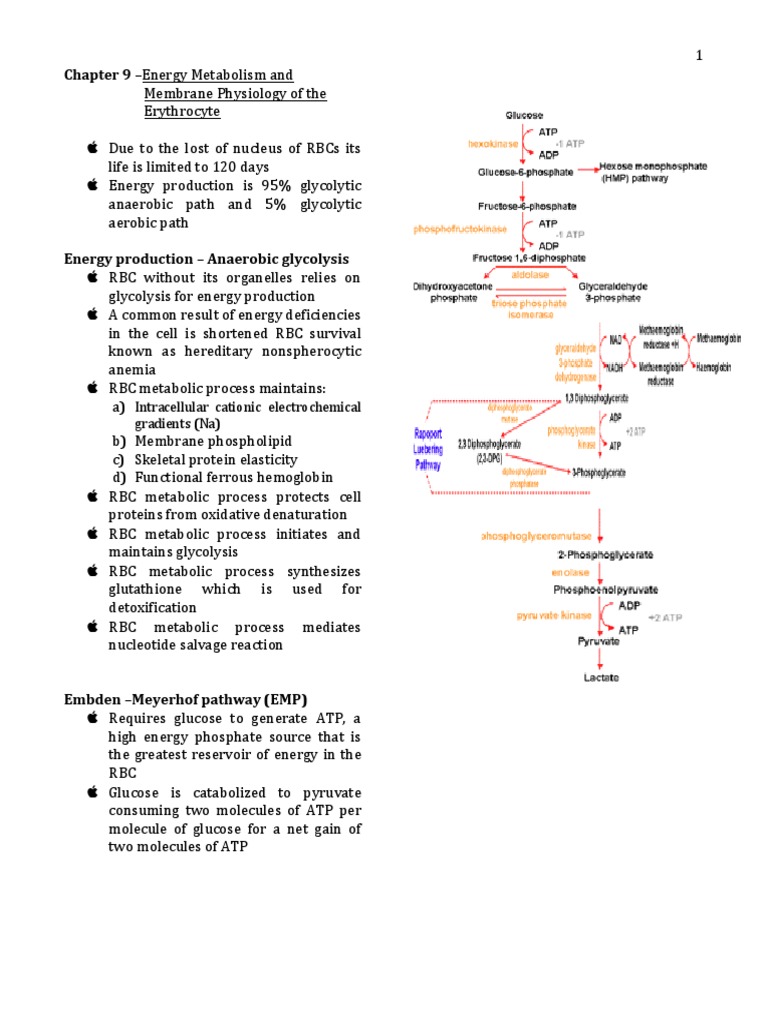 Chapter 9 - Energy Metabolism and Membrane Physiology of The ...