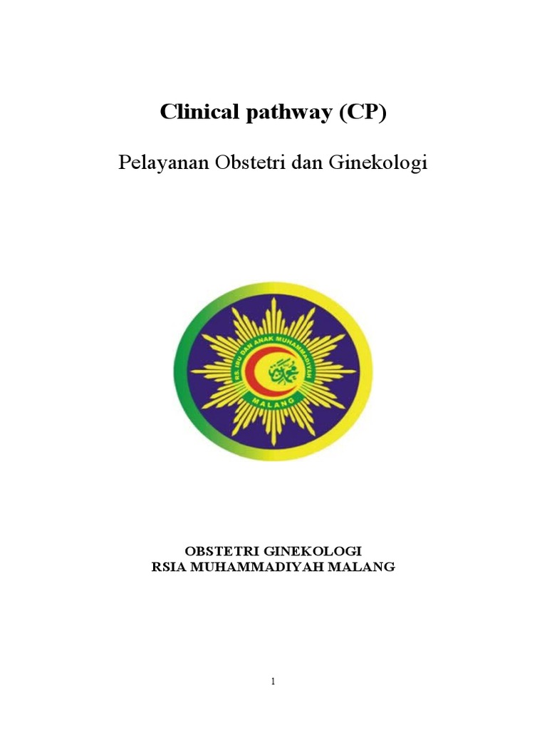 Clinical Pathway Maternal | PDF