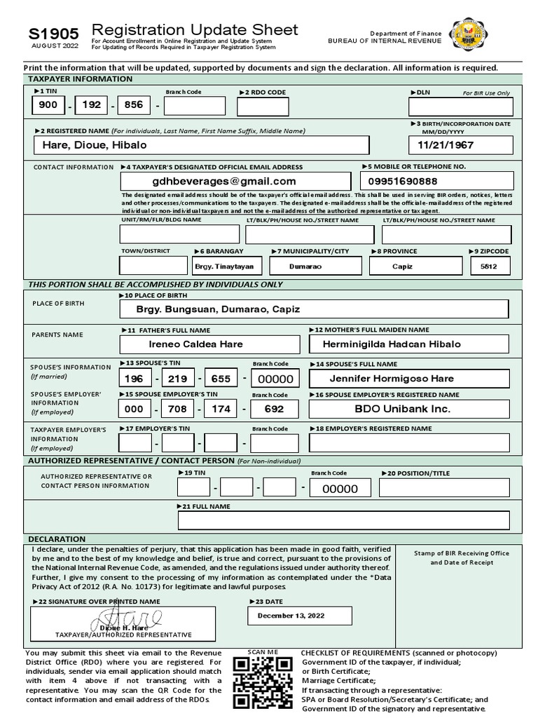 BIR S1905 Registration Update Sheet | PDF | Taxes | Government