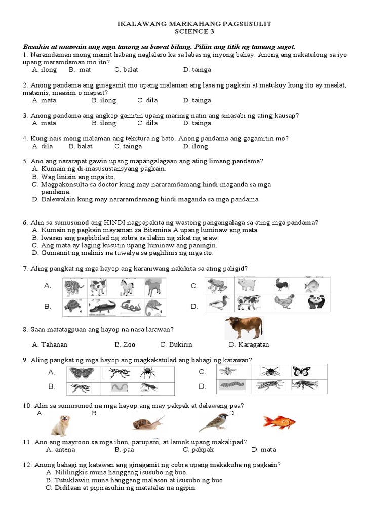 Science 3 | PDF
