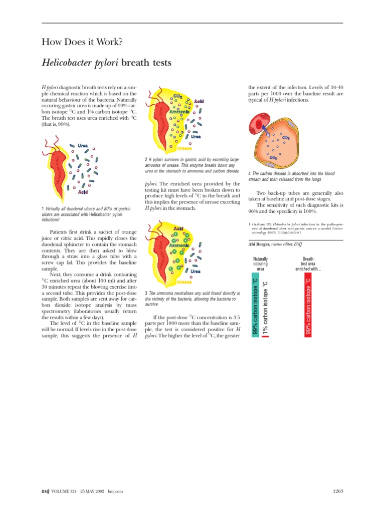 H Pylori Breath Test | PDF | Urea | Carbon 13