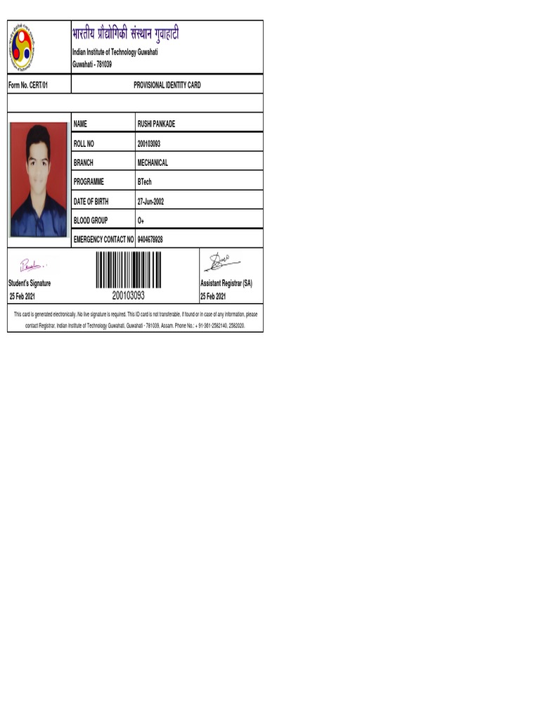 Provisional Identity Card | PDF