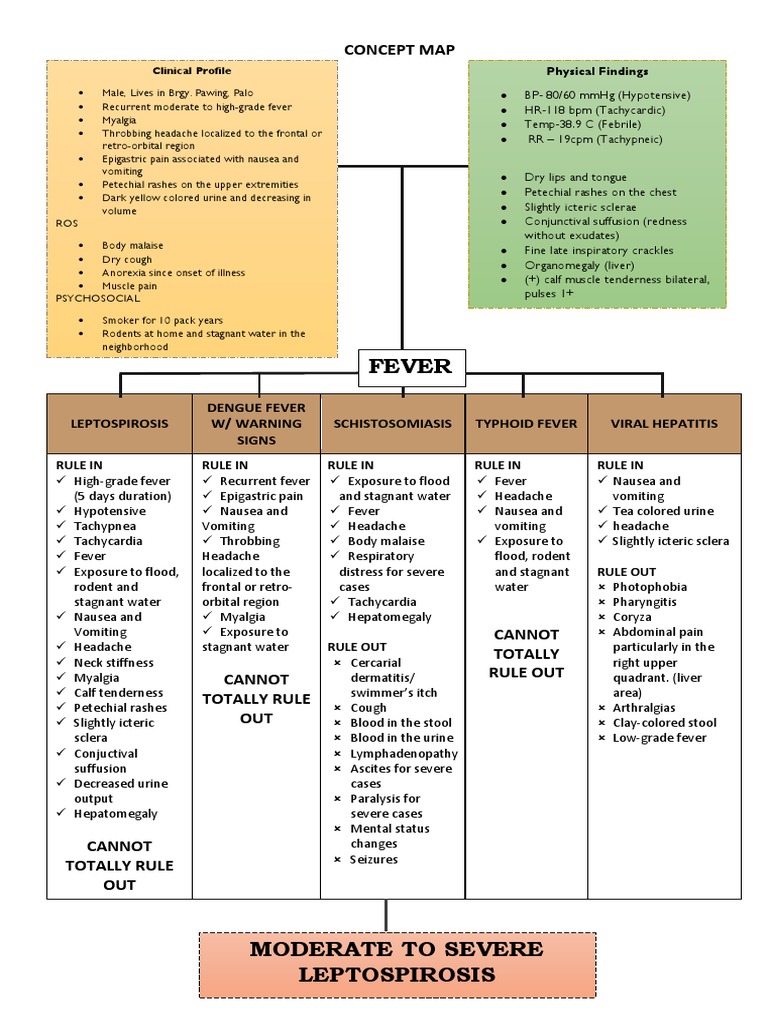 IM - Leptospirosis Concept Map | PDF | Clinical Medicine | Medicine