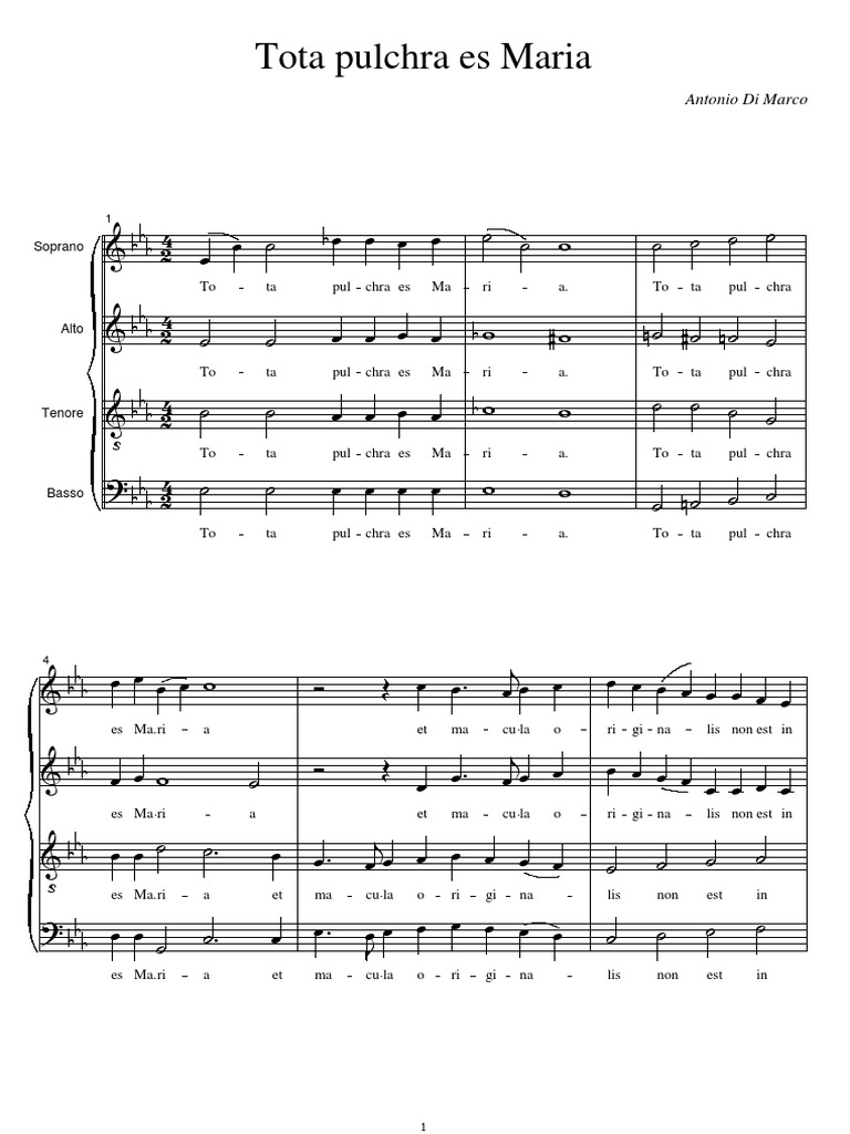 Tota Pulchra ADM - 2012 | PDF