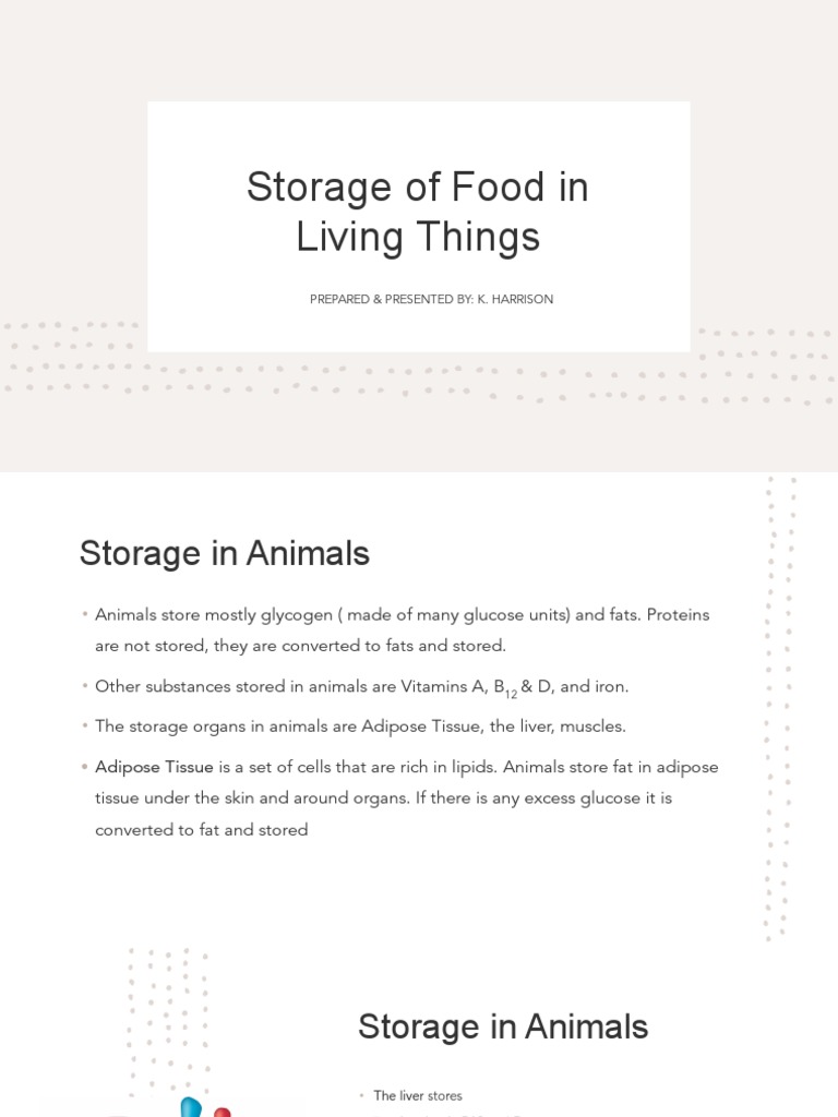 Storage in Plants and Animals | PDF | Seed | Glucose