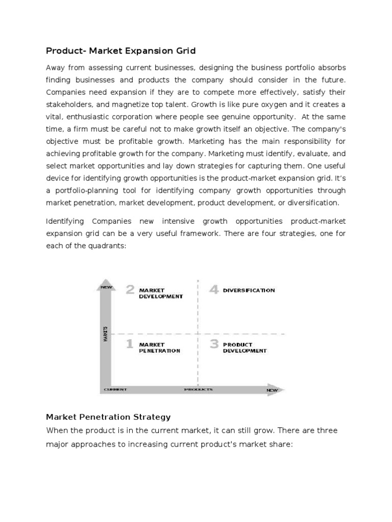 Product-Market Expansion Grid Guide | PDF | Toyota | Hybrid Electric ...