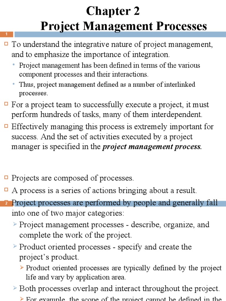 Project Management Process Overview | PDF | Project Management | Prototype