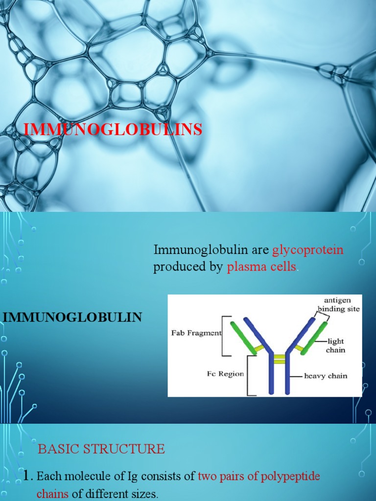 Immunoglobulin | PDF