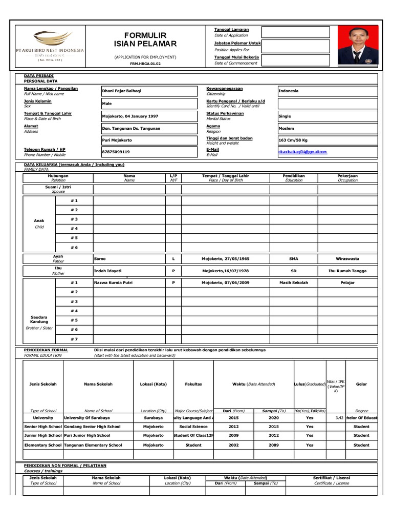 Form Isian Pelamar - Dhani Fajar Baihaqi | PDF | Cognition | Cognitive ...