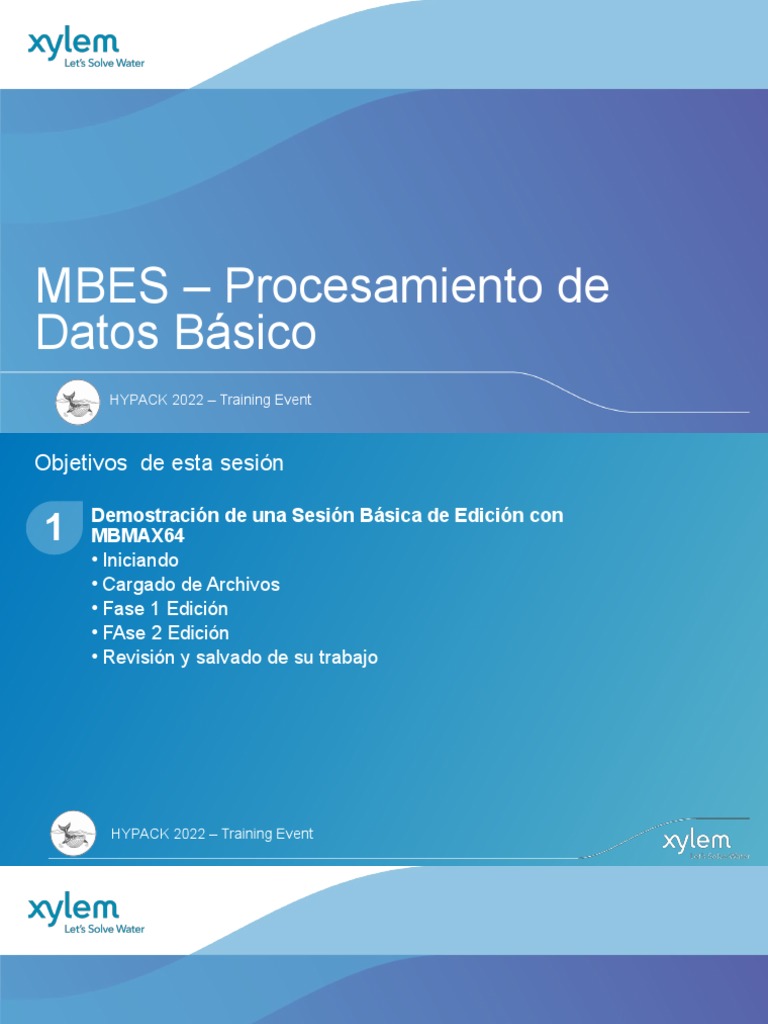 MBES - Basic Processing.2022 SP | PDF | Archivo de computadora ...