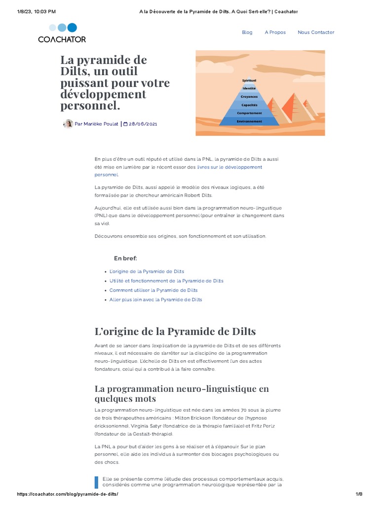 A La Découverte de La Pyramide de Dilts. A Quoi Sert-Elle - Coachator ...