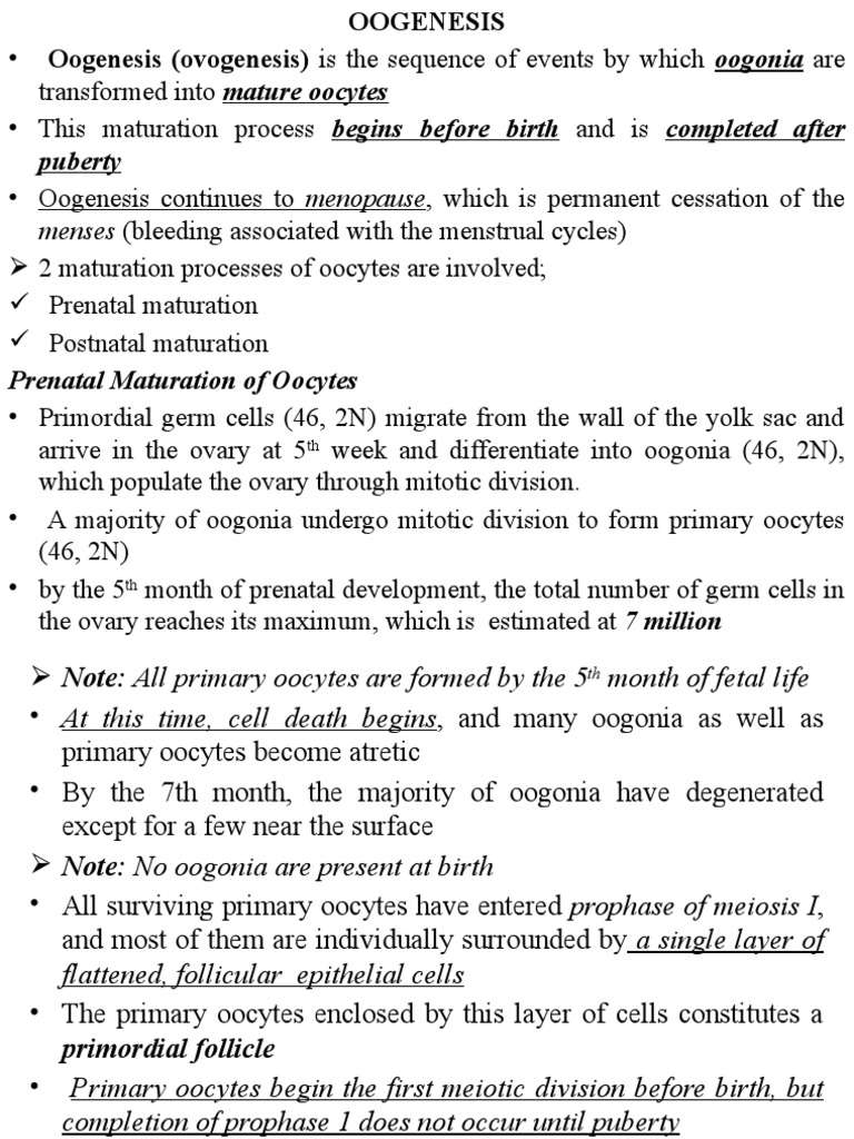 Oogenesis and Ovarian Cycle, Uterus, Menstrual Cycle ABORTION ...