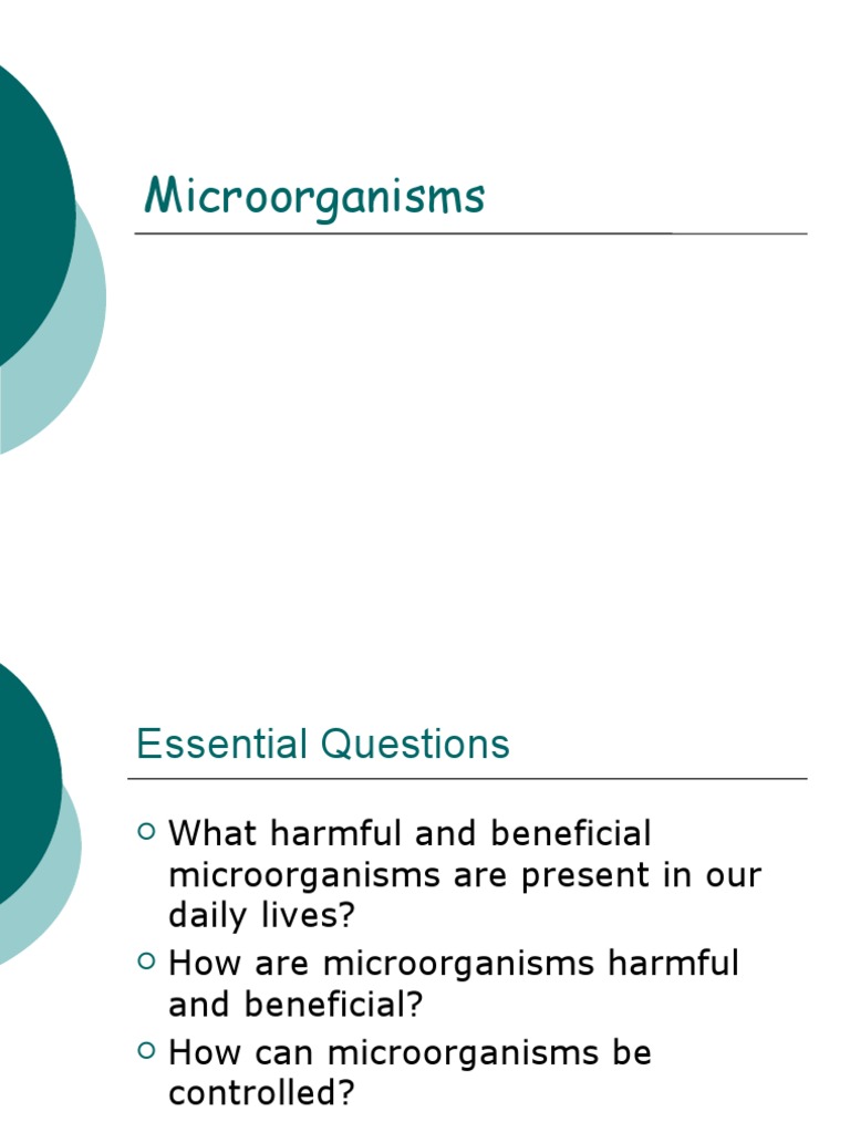 Beneficial and Harmful Microorganisms | PDF | Microorganism | Bacteria