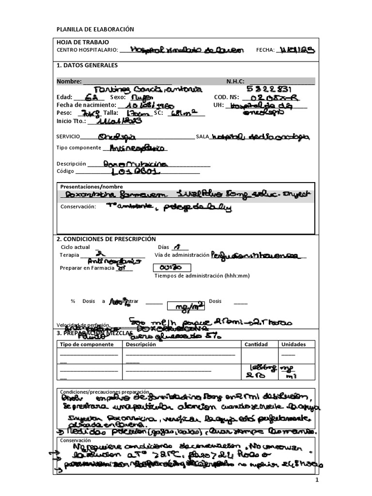 Planilla de elaboración de tratamiento para paciente hospitalizado | PDF
