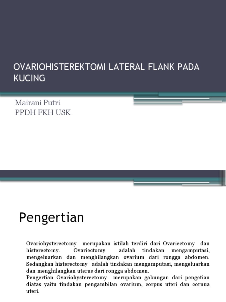 Ovariohisterektomi Lateral Flank Pada Kucing | PDF