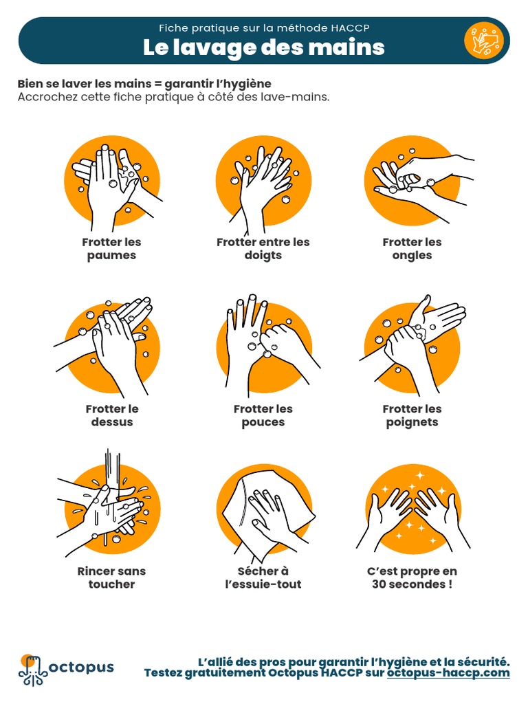 Fiche Pratique HACCP - Lavage de Mains | PDF
