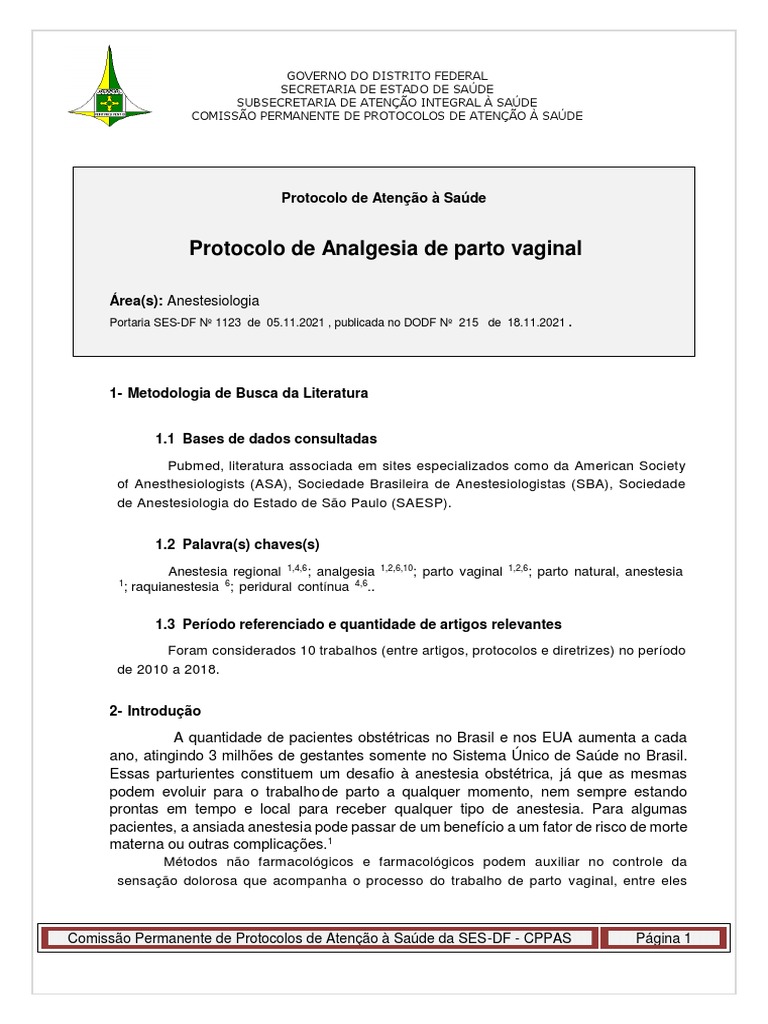 Protocolo de Analgesia de Parto Vaginal | PDF | Parto | Gravidez