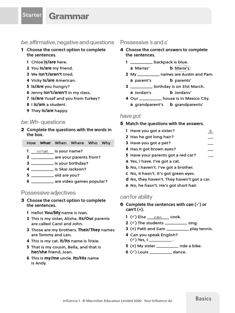 L1 A2 Starter Grammar Basics | PDF | Languages | Foreign Language Studies
