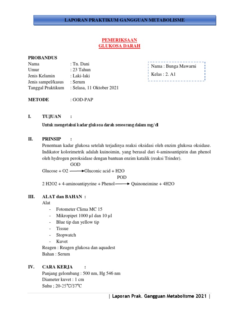 Bunga Mawarni - Pemeriksaan Glukosa Darah | PDF