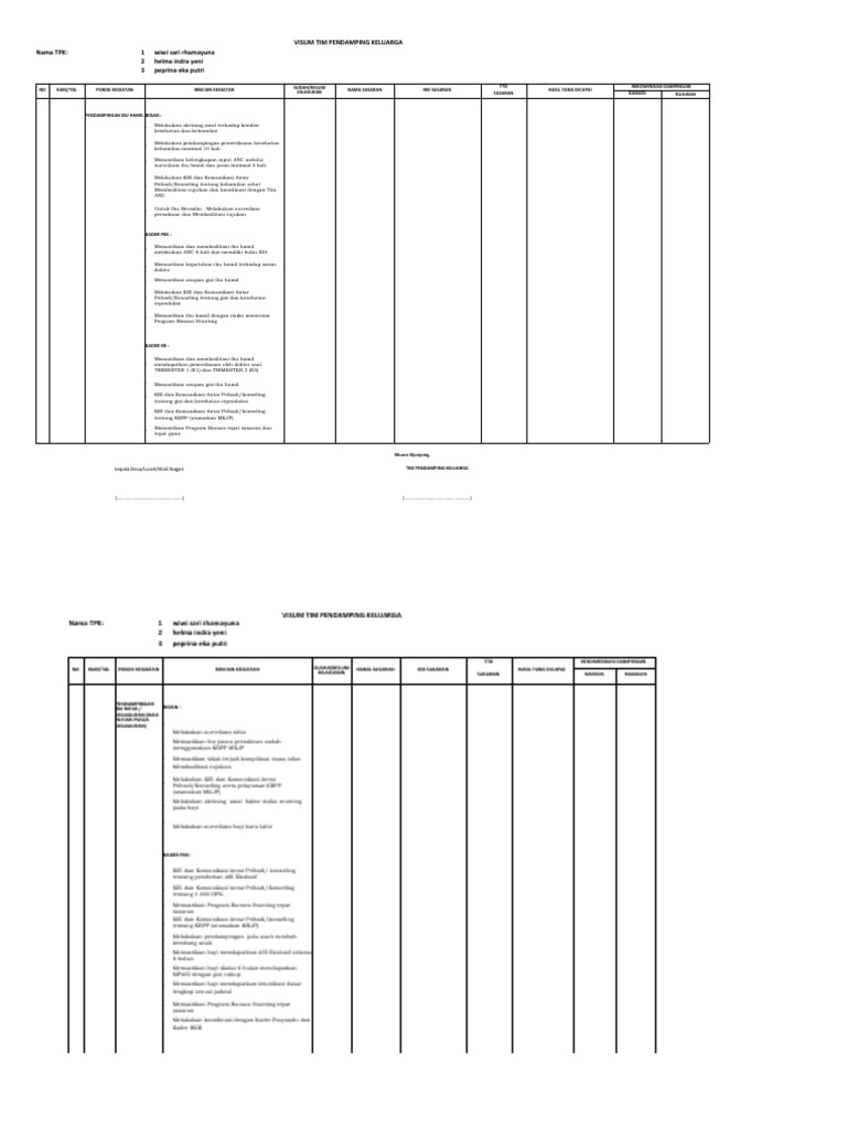 Format Visum TPK | PDF
