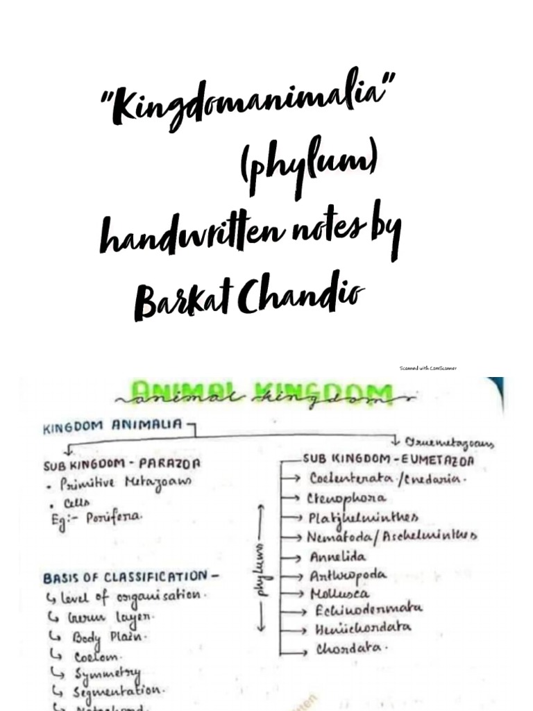 Kingdom Animalia | PDF