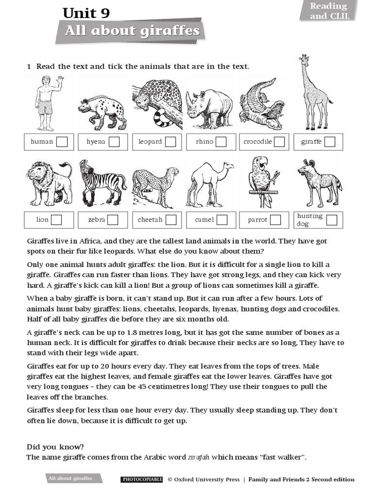Faf 2e Level 2 Unit 9 All About Giraffes | PDF | Giraffe | Lion
