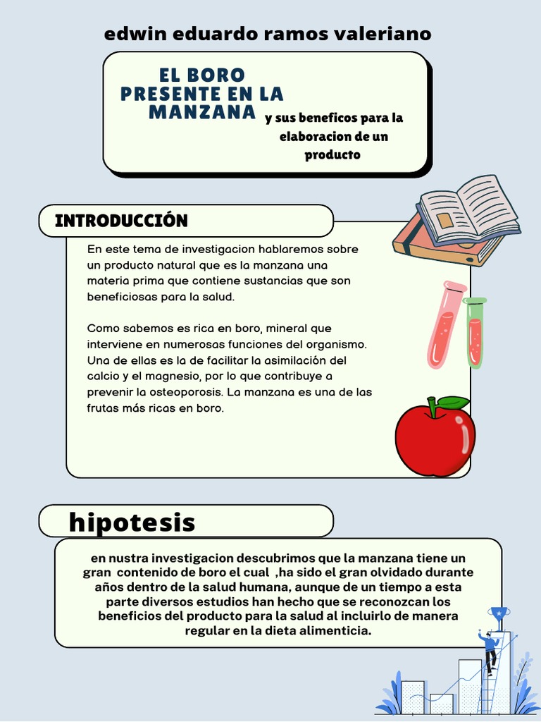 El Boro Presnte en La Manzana | PDF | Calcio | Boro
