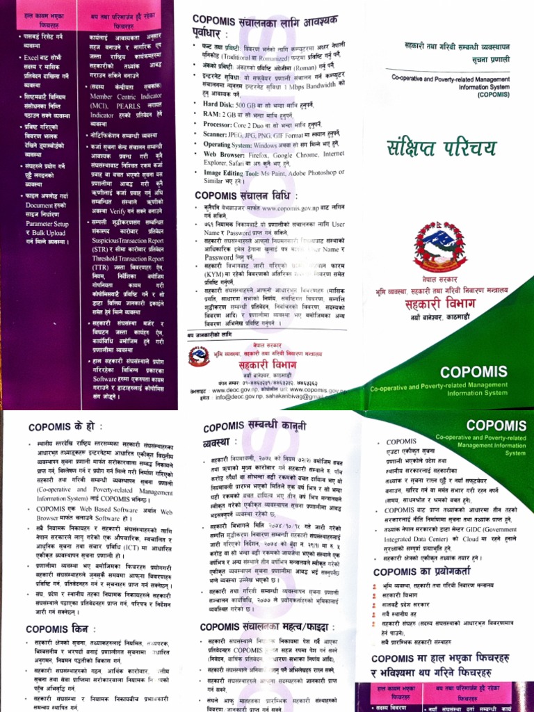 COPOMIS Brochure | PDF | Computer Science | Graphics