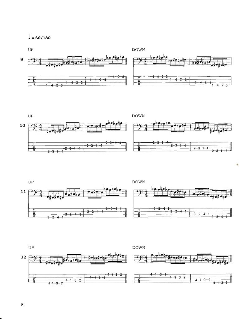 Bass Fitness Pdf
