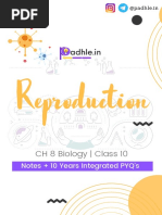 Class 10 Science: Our Environment Notes | PDF | Ecosystem | Food Web